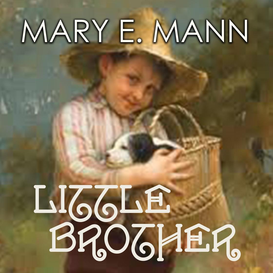 Little Brother by Mary E. Mann Narrated by Peter Coates Audiobook ...