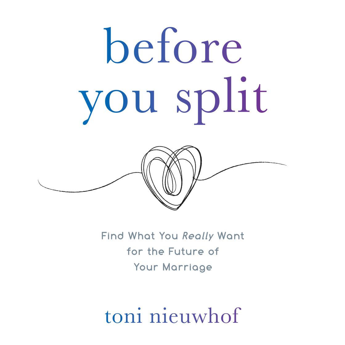 Before You Split Audiobook | Libro.fm