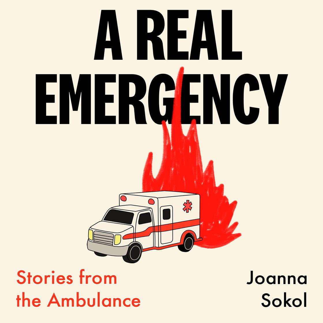 A Real Emergency Audiobook | Libro.fm