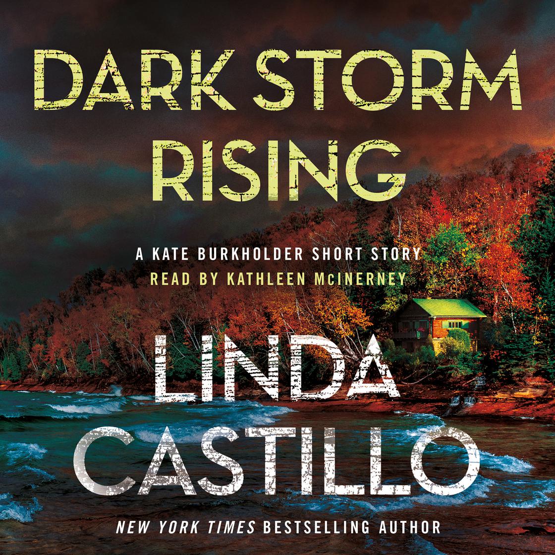 Libro.fm | Dark Storm Rising Audiobook
