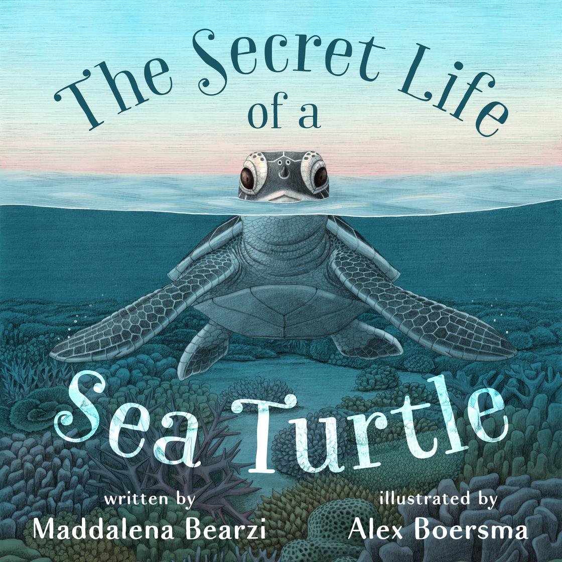 The Secret Life of a Sea Turtle Audiobook | Libro.fm
