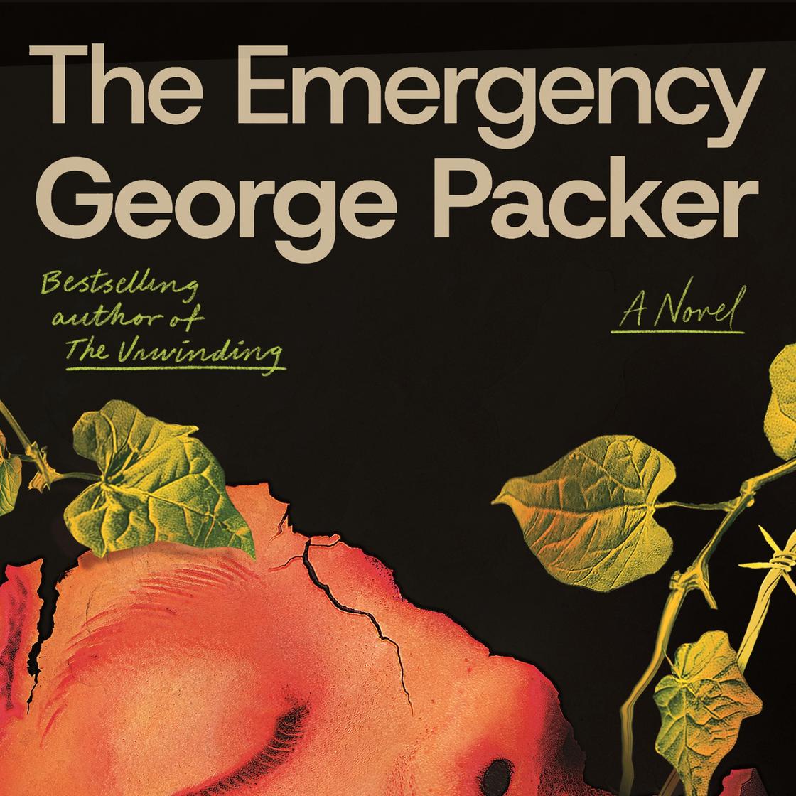 The Emergency by George Packer Narrated by Billie Fulford-Brown ...
