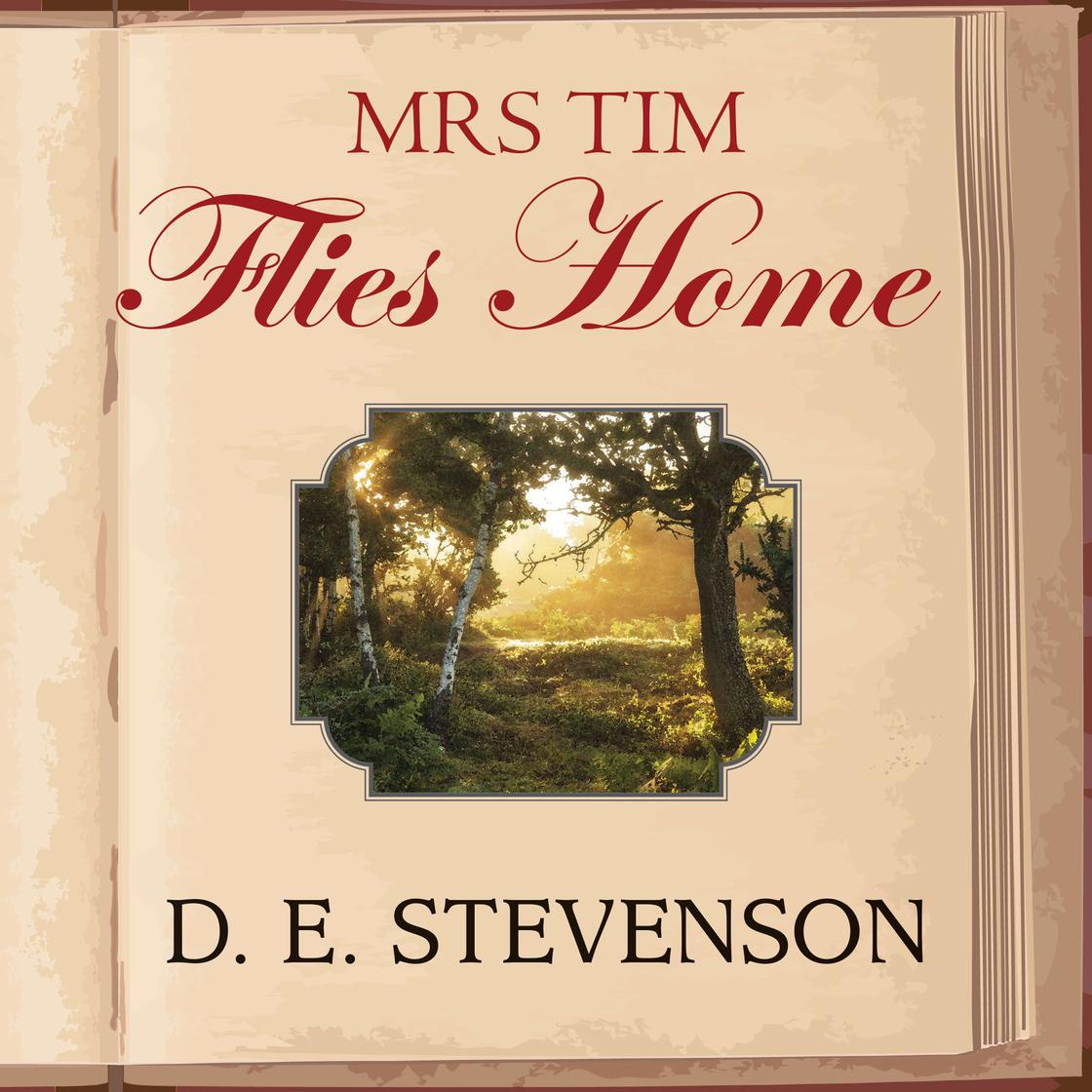 Mrs Tim Flies Home Audiobook | Libro.fm