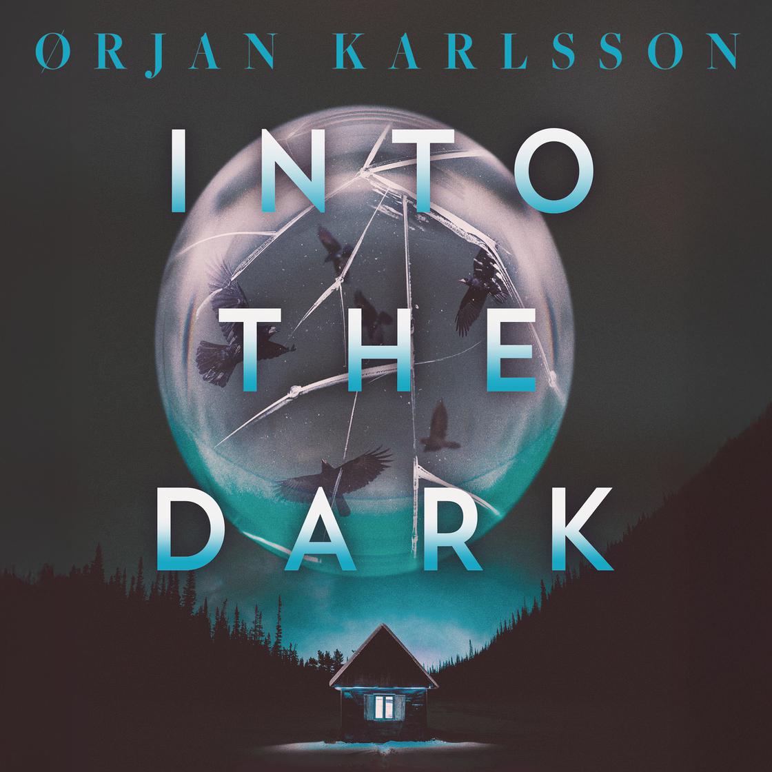 Into the Dark Audiobook | Libro.fm