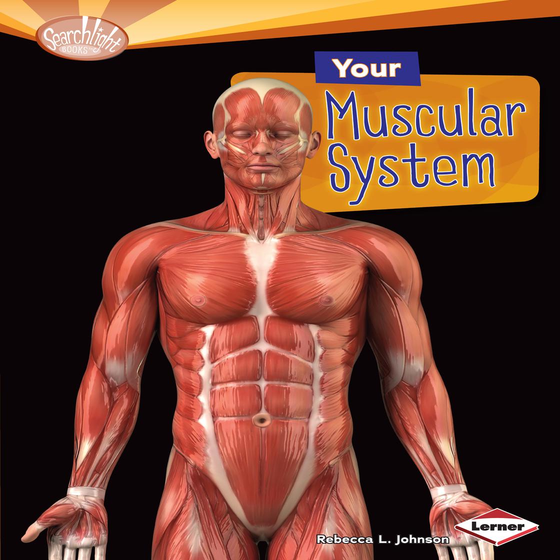 Your Muscular System Audiobook | Libro.fm