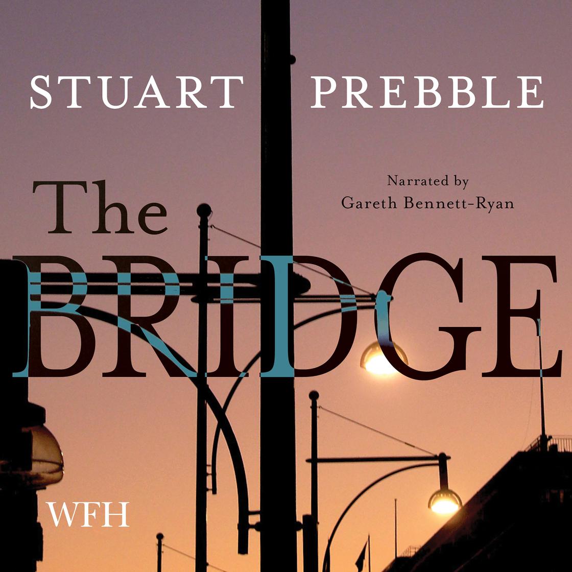 The Bridge Audiobook | Libro.fm