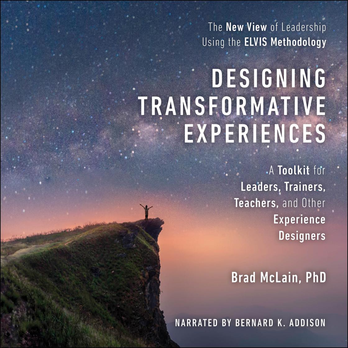 Libro.fm | Designing Transformative Experiences Audiobook