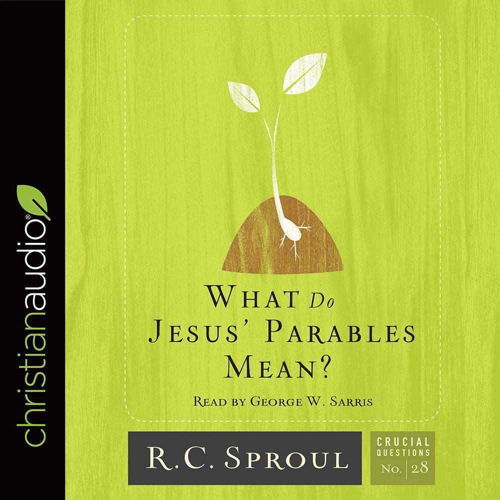 Libro fm What Do Jesus Parables Mean Audiobook libro-fm-what-do-jesus-parables-mean-audiobook