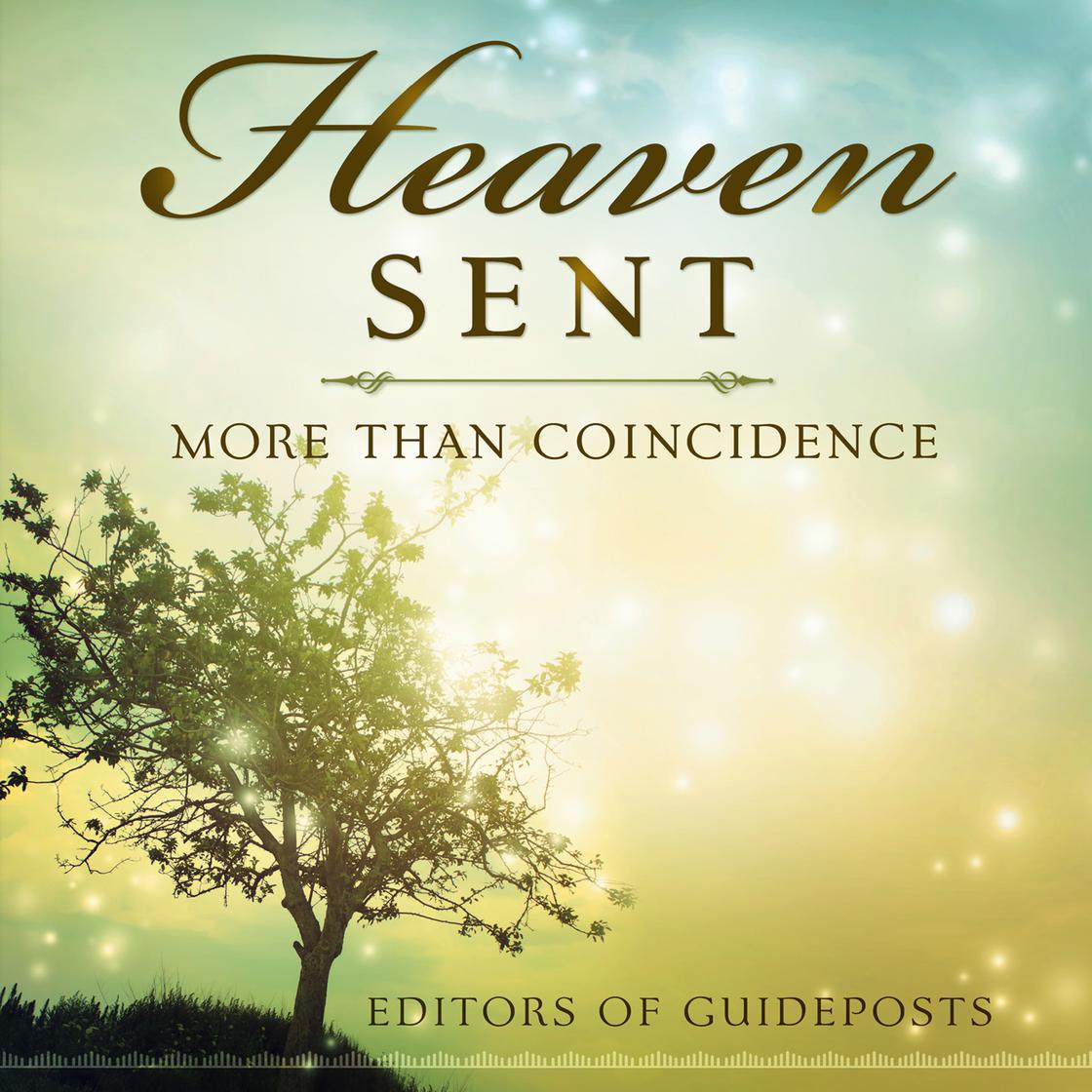 Heaven Sent Audiobook | Libro.fm