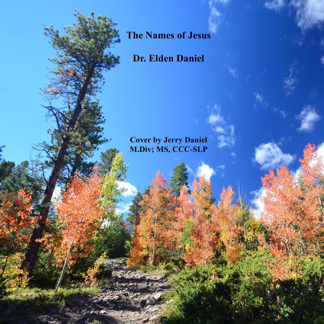 Libro fm The Names Of Jesus Audiobook libro-fm-the-names-of-jesus-audiobook