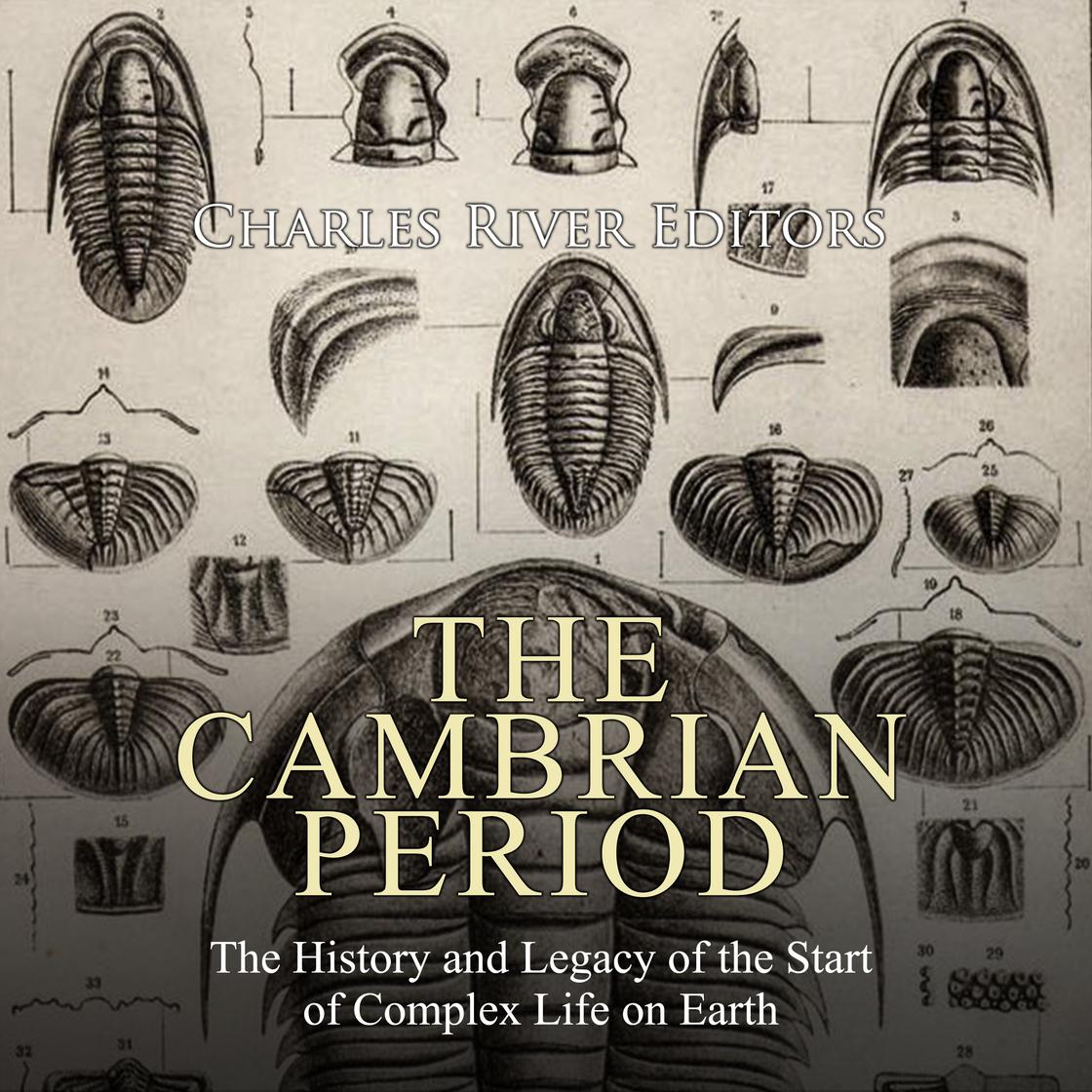 The Cambrian Period: The History and Legacy of the Start of Complex ...