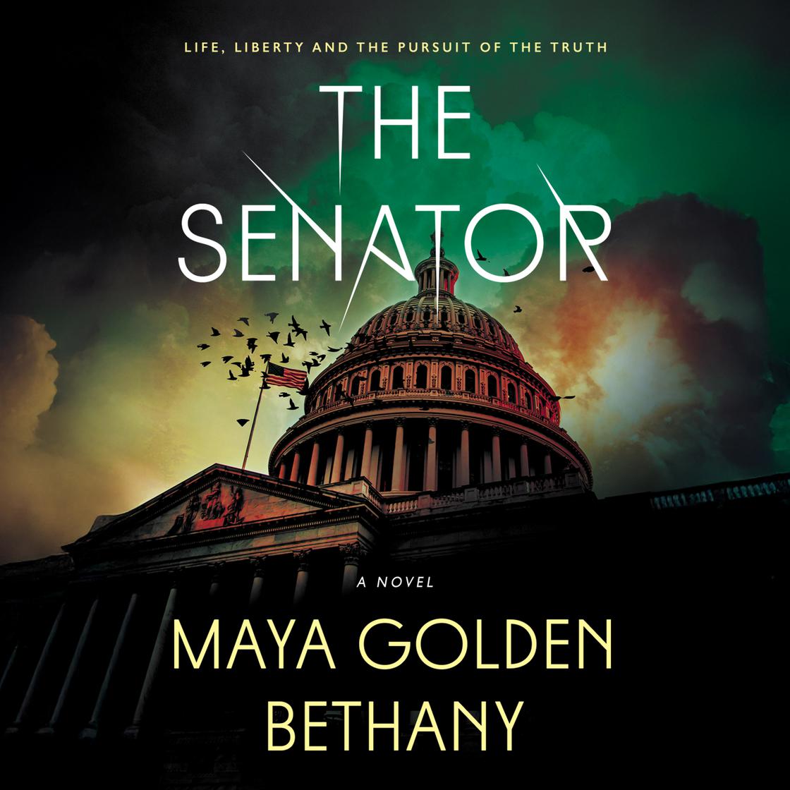 The Senator Audiobook | Libro.fm