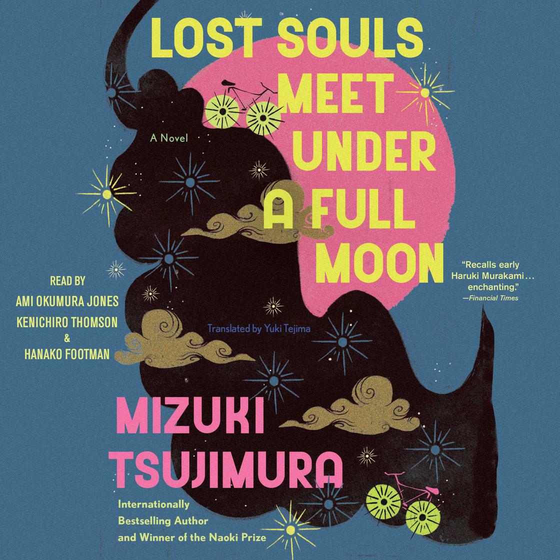 Lost Souls Meet Under a Full Moon Audiobook | Libro.fm
