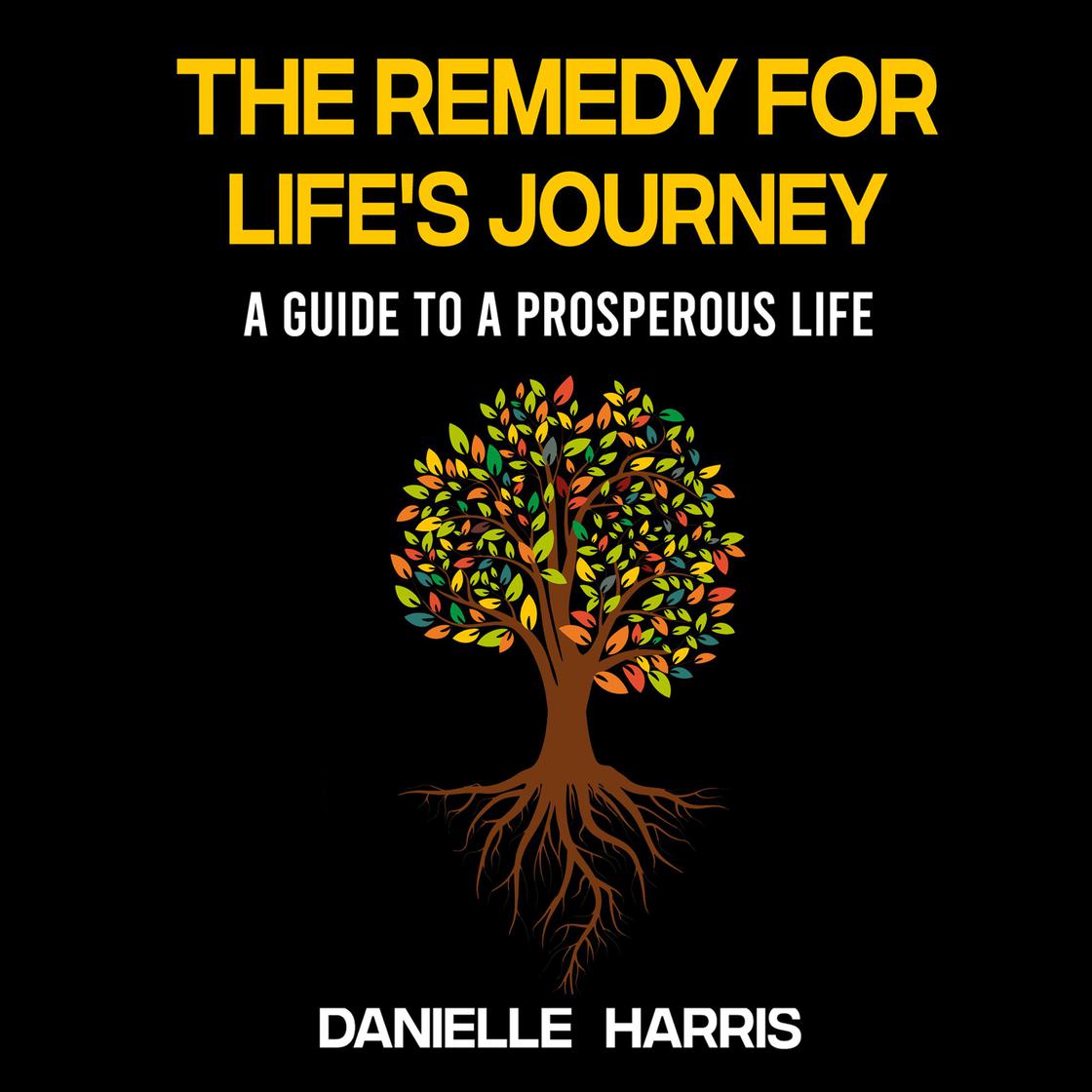 The Remedy For Life's Journey Audiobook | Libro.fm