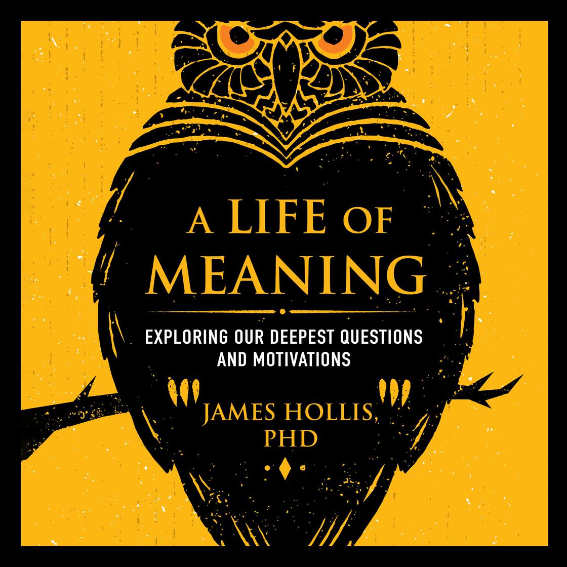 A Life of Meaning Audiobook | Libro.fm
