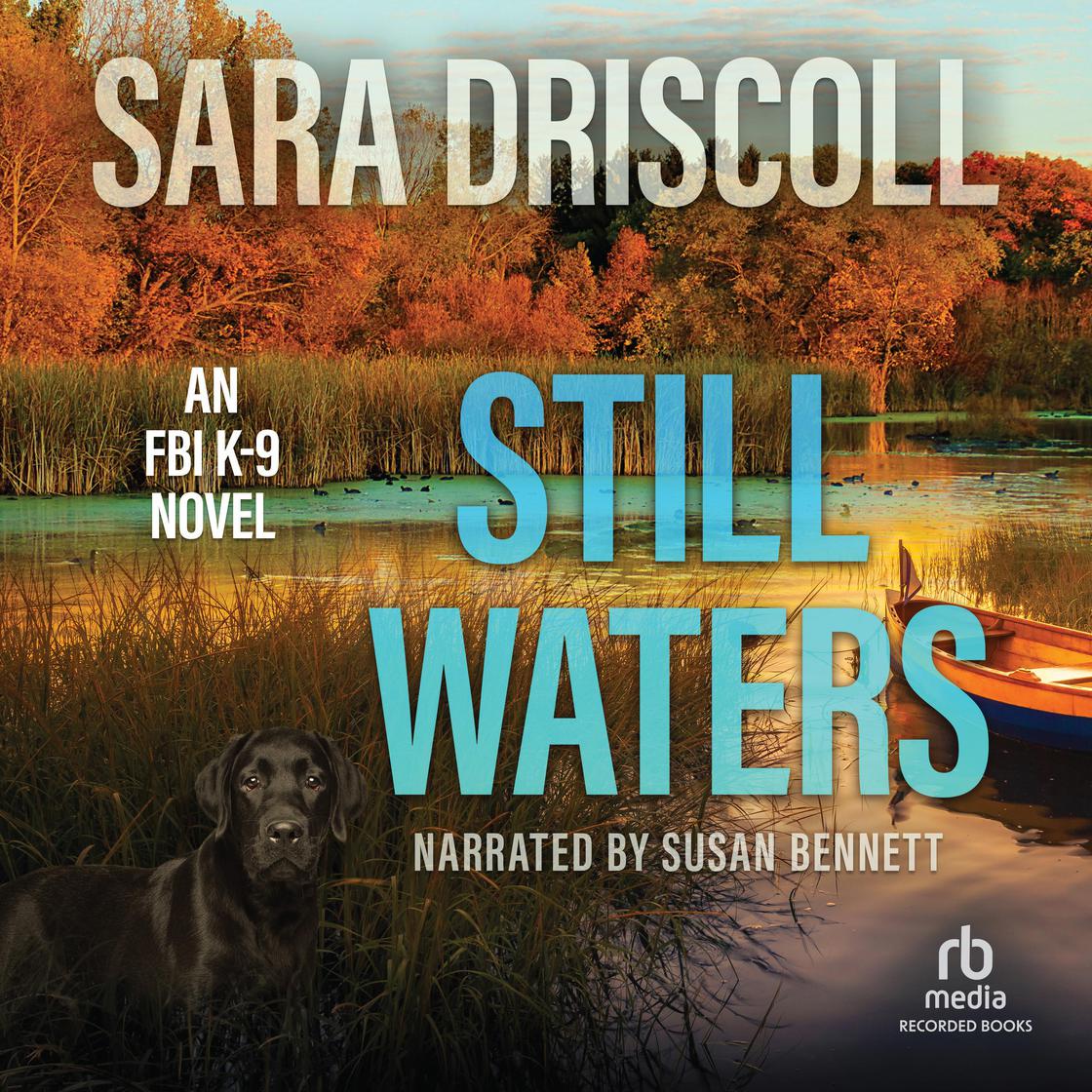 Still Waters Audiobook | Libro.fm