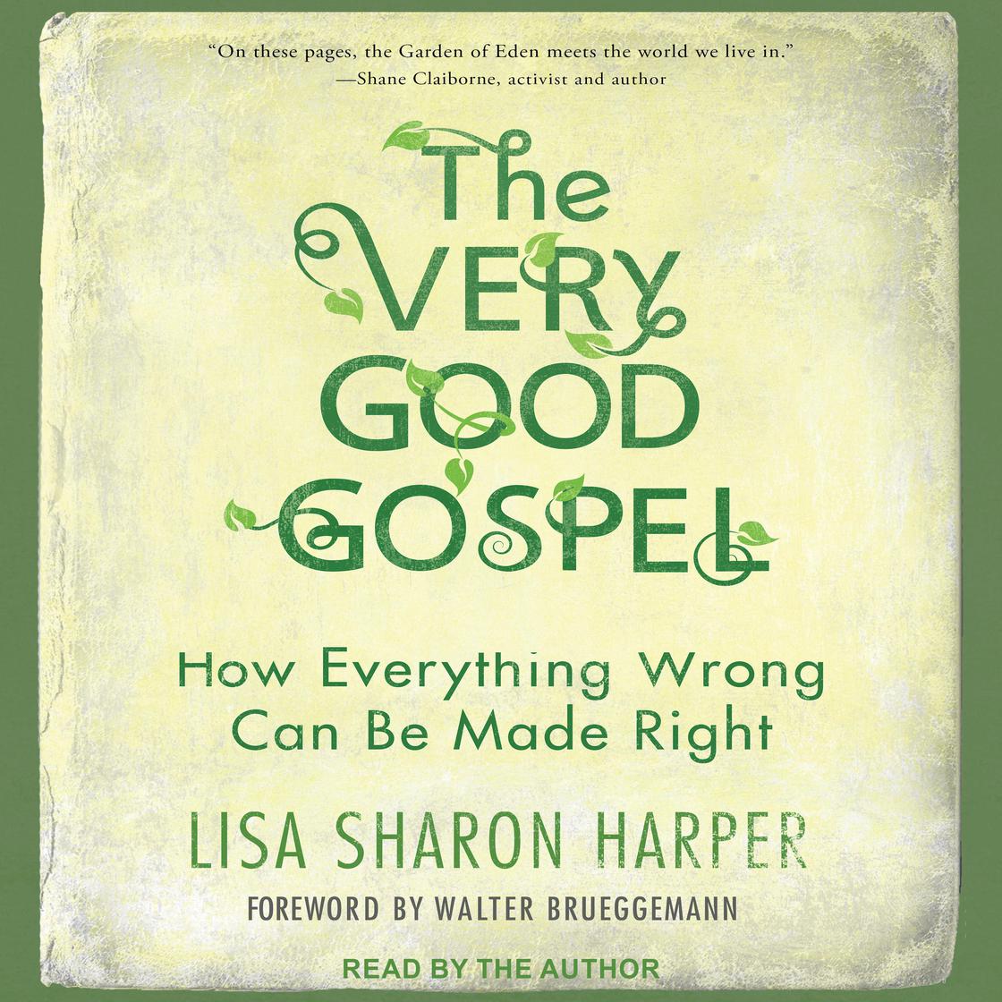 Libro.fm | The Very Good Gospel Audiobook