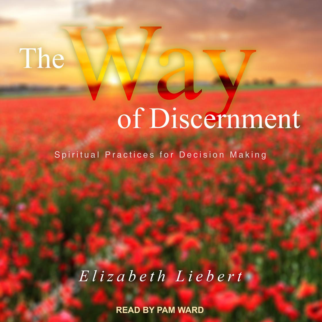 Libro.fm | The Way of Discernment Audiobook