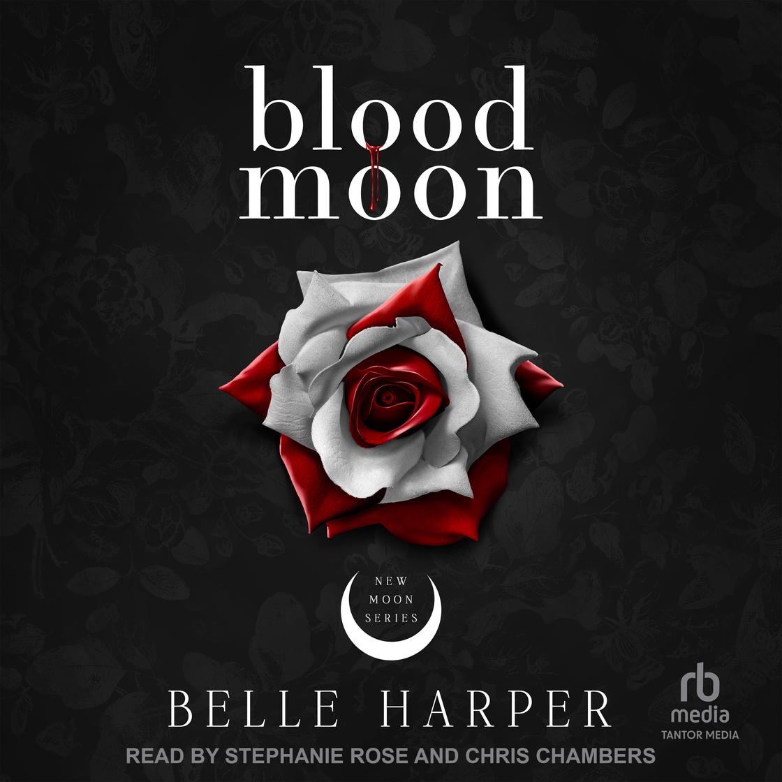Vampire Blood Moon INCENSE NEW MOON VAMPIRE BLOOD 15PCE DISPLAY 12