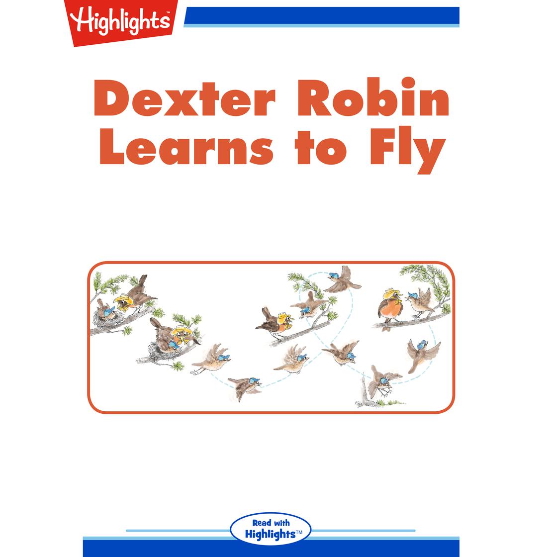 Libro.fm | Dexter Robin Learns to Fly Audiobook
