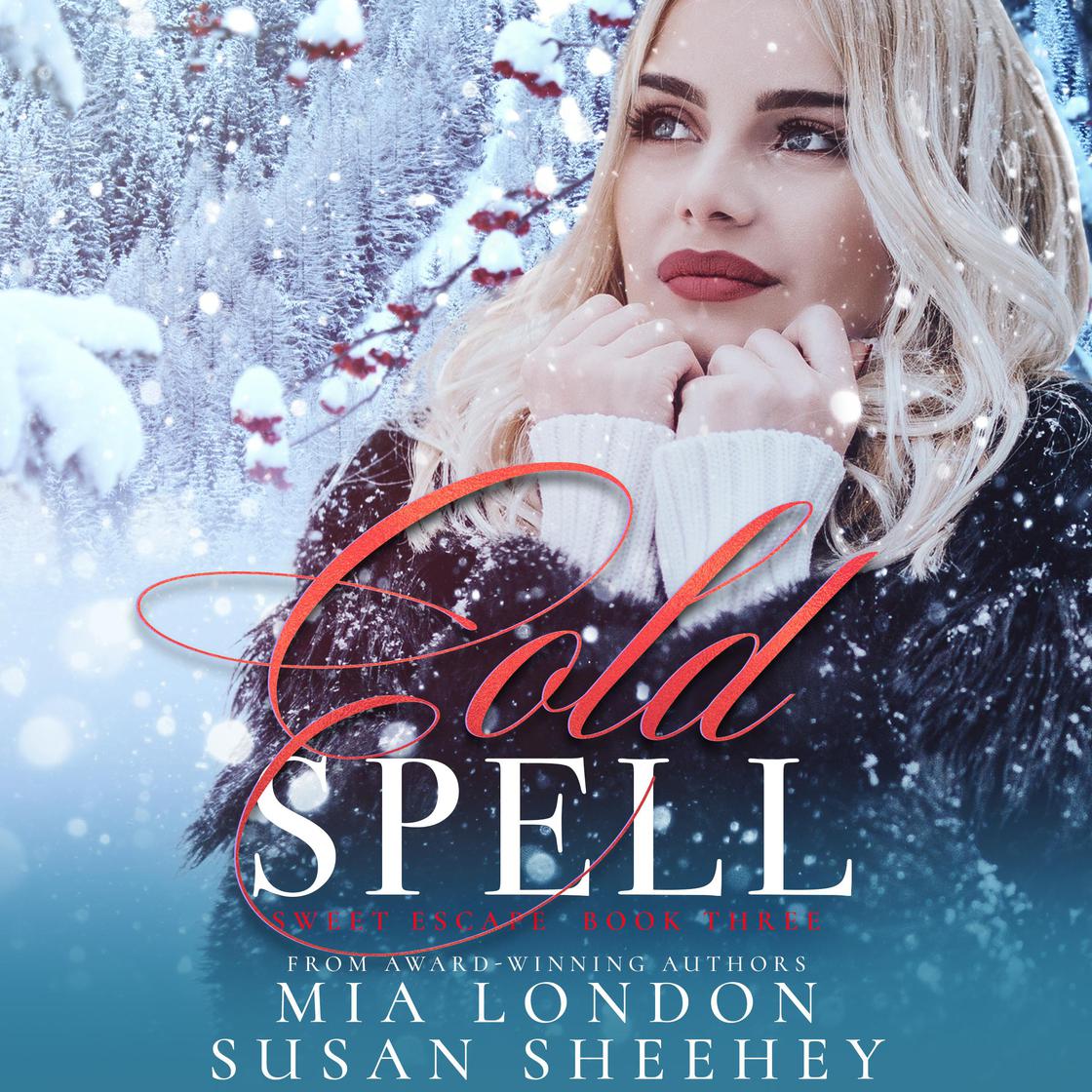 Libro.fm | Cold Spell Audiobook