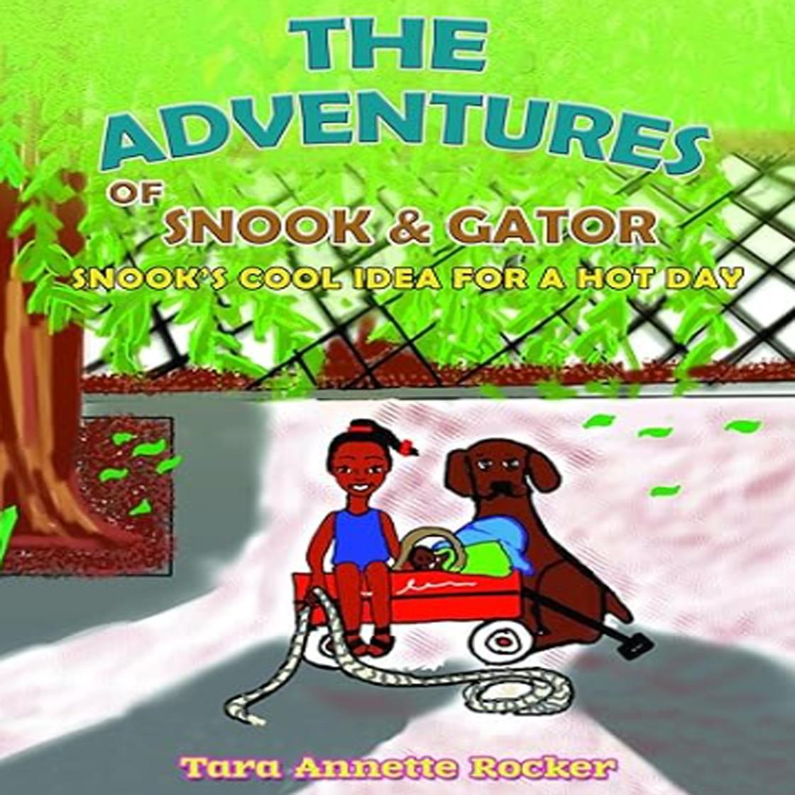 The Adventures of Snook and Gator: Snook’S Cool Idea for a Hot Day ...