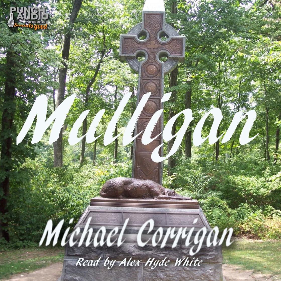 Mulligan: a Civil War Journey Audiobook | Libro.fm