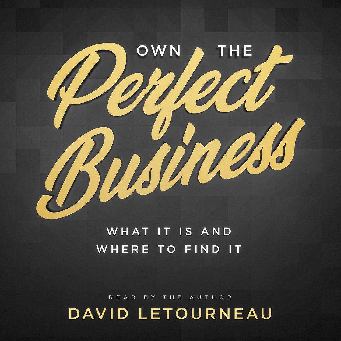 Own the Perfect Business Audiobook | Libro.fm