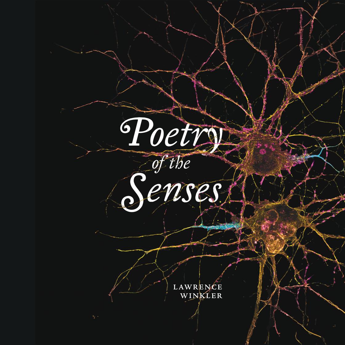 Poetry of the senses Audiobook | Libro.fm