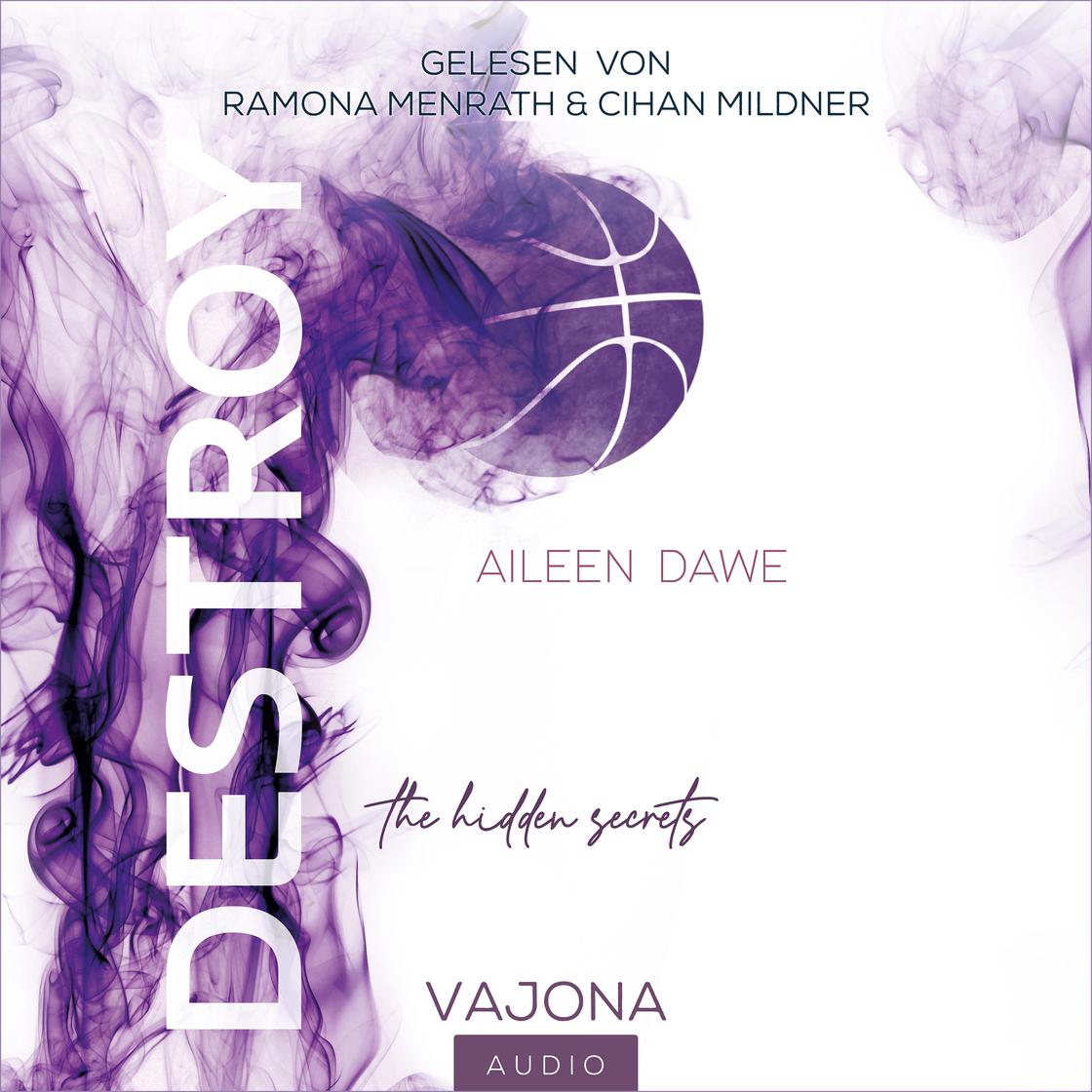 DESTROY the hidden secrets (DESTROY-Reihe 1) Audiobook | Libro.fm