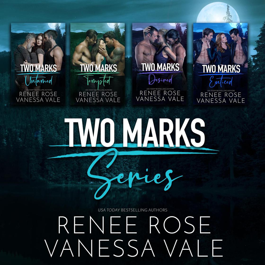 Two Marks Series Boxed Set, Books 1–4 Audiobook | Libro.fm
