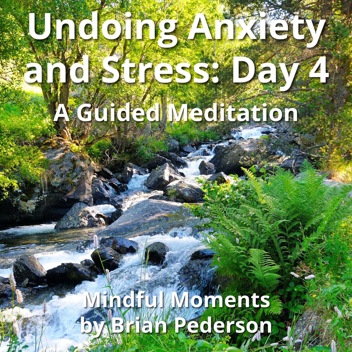 Undoing Anxiety and Stress: Day 4 Audiobook | Libro.fm