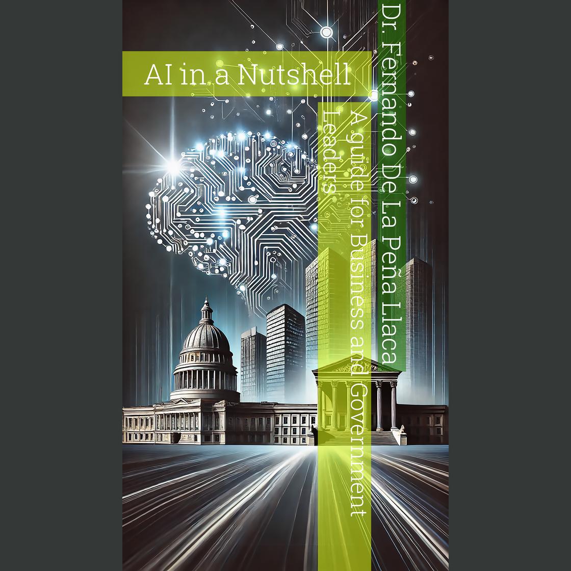 AI in a Nutshell: A Guide for Business and Government Leaders Audiobook ...