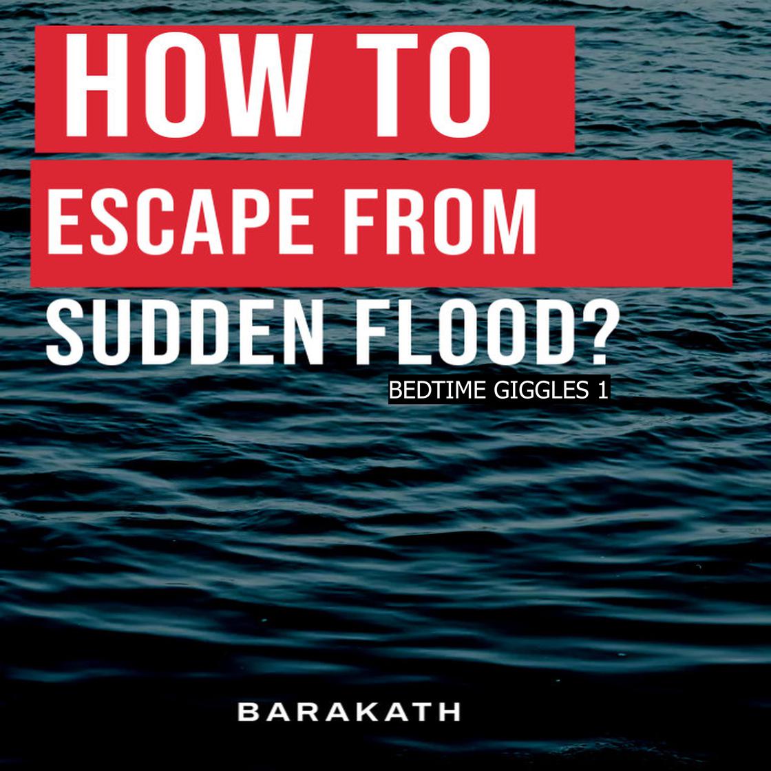 HOW TO ESCAPE FROM SUDDEN FLOOD Audiobook | Libro.fm