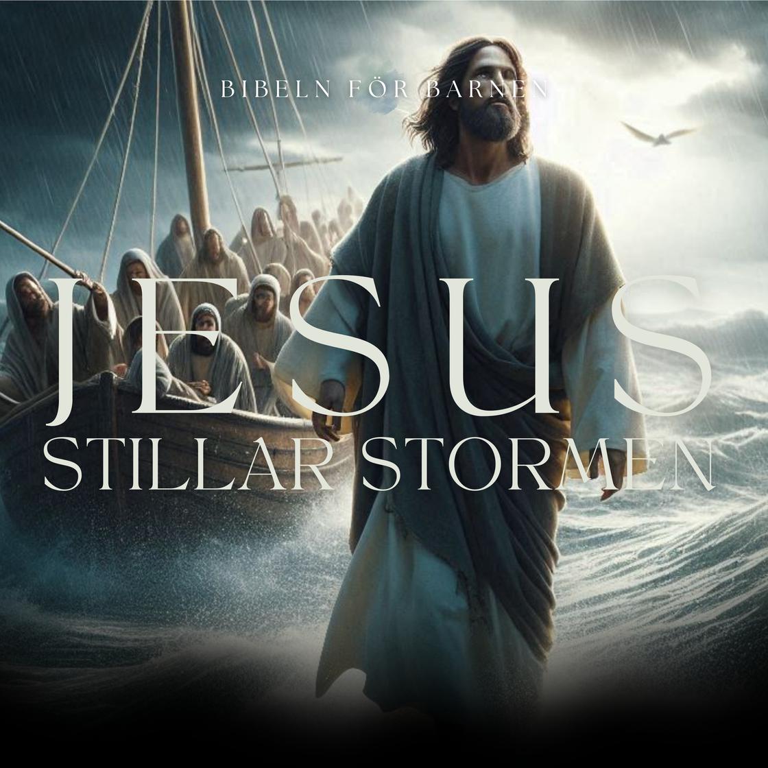 Jesus stillar stormen Audiobook | Libro.fm