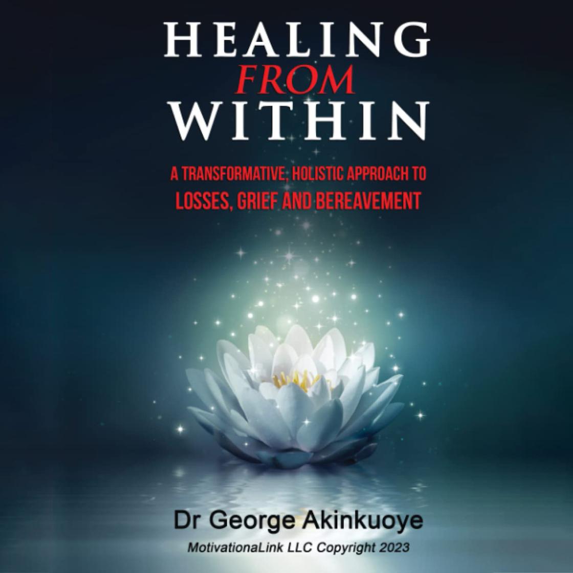 HEALING FROM WITHIN: A TRANSFORMATIVE HOLISTIC APPROACH TO LOSSES ...