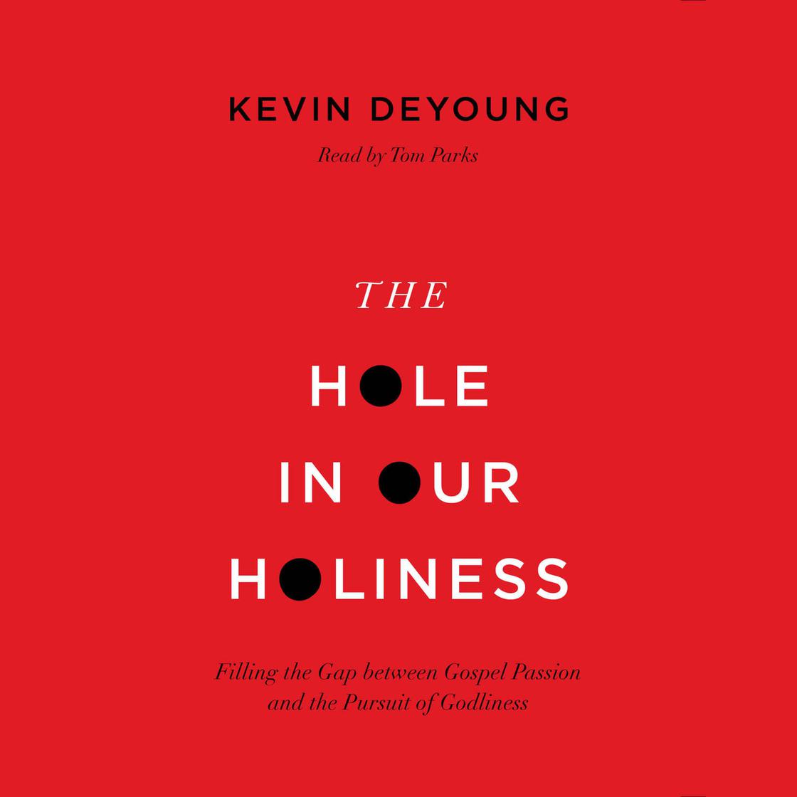 The Hole in Our Holiness Audiobook | Libro.fm