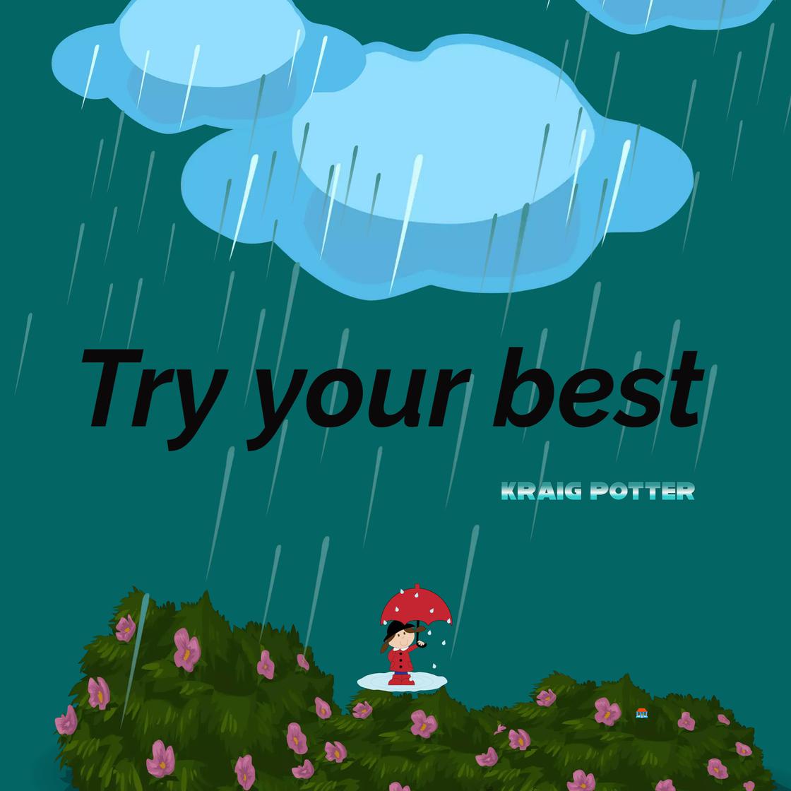 Libro.fm | Try your best Audiobook